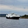 M/F «HASVIK»